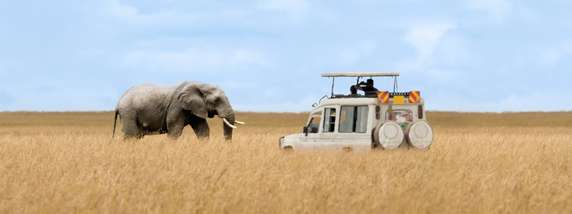 Tailormade Vacation Packages and Holidays to Kenya | Bookmundi