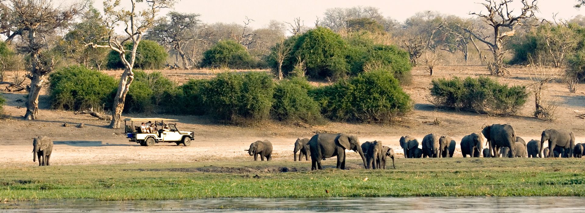 Botswana Travel Guide – Travel Insights & Travel Itineraries| Bookmundi