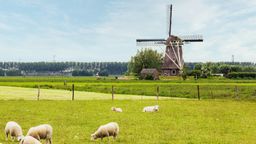 The Netherlands in July: Weather, Festivals and More | Bookmundi