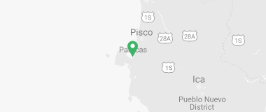 Ballestas Islands & Paracas National Reserve Day Trip (from Paracas) by ...