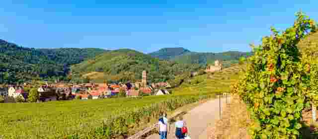 Alsace Vineyard Trails Tour with 11 Reviews by Walkers' Britain | Bookmundi