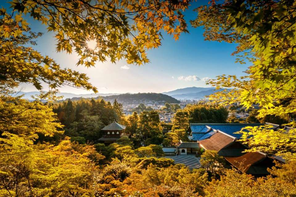 Ancient & Modern Japan Tour with 122 Reviews by Exodus Adventure ...