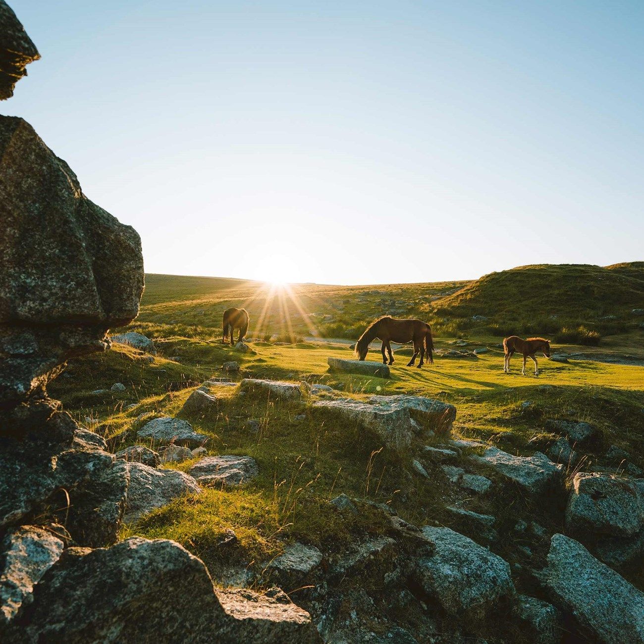 Best of Devon and Cornwall Tour by Trafalgar | Bookmundi