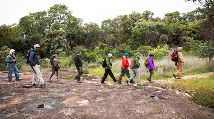 Cape Town to Kenya by Intrepid Travel | Bookmundi