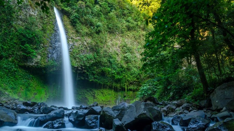 Costa Rica: Rivers, Rainforest & Beaches Tour by Greenway Nature Tours ...