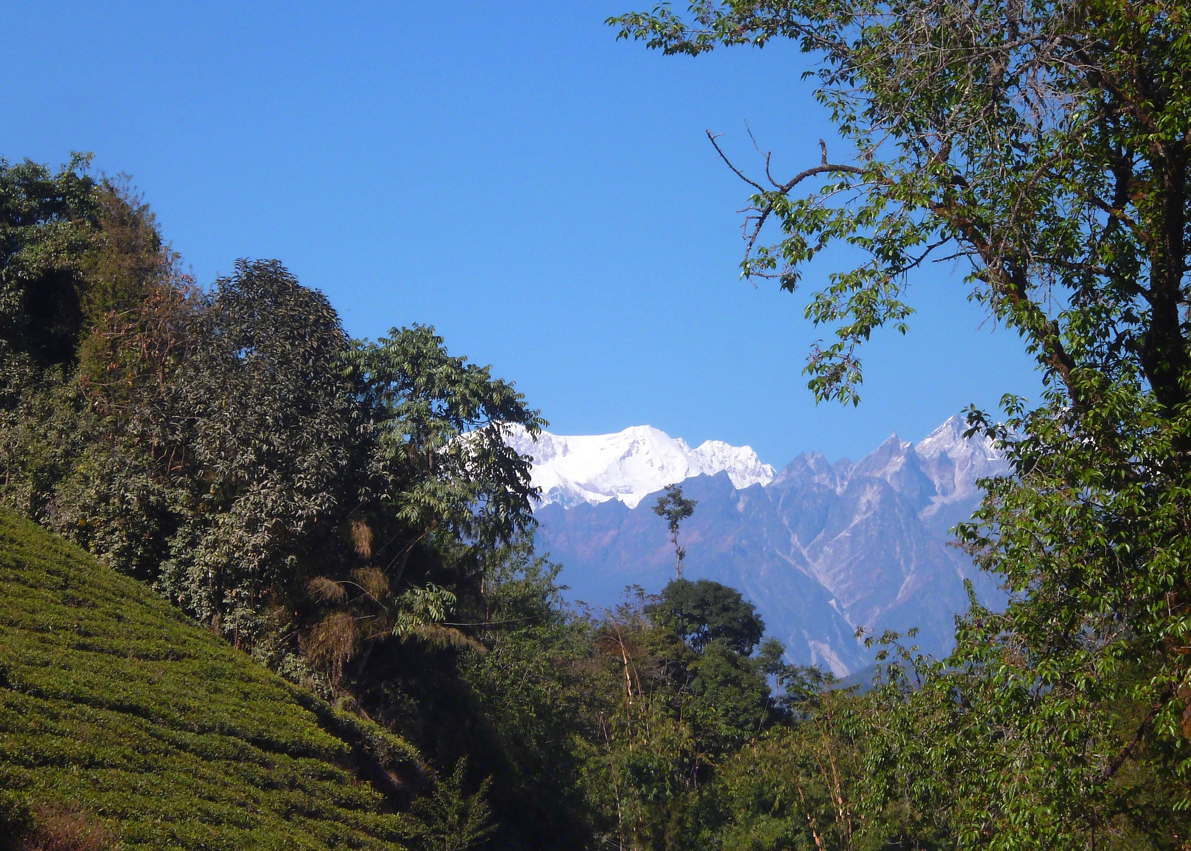 Darjeeling, Sikkim & the Singalila Ridge Tour with 37 Reviews by Exodus ...
