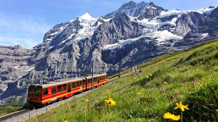 Europe Escape by Expat Explore | Bookmundi