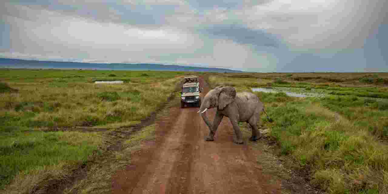 Kenya to Zimbabwe Overland Safari & Participation Camping Tour by G ...