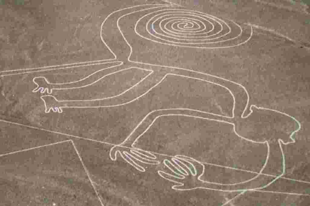 Overflight the Nazca Lines of 60 minutes Tour by Tangol Tours | Bookmundi