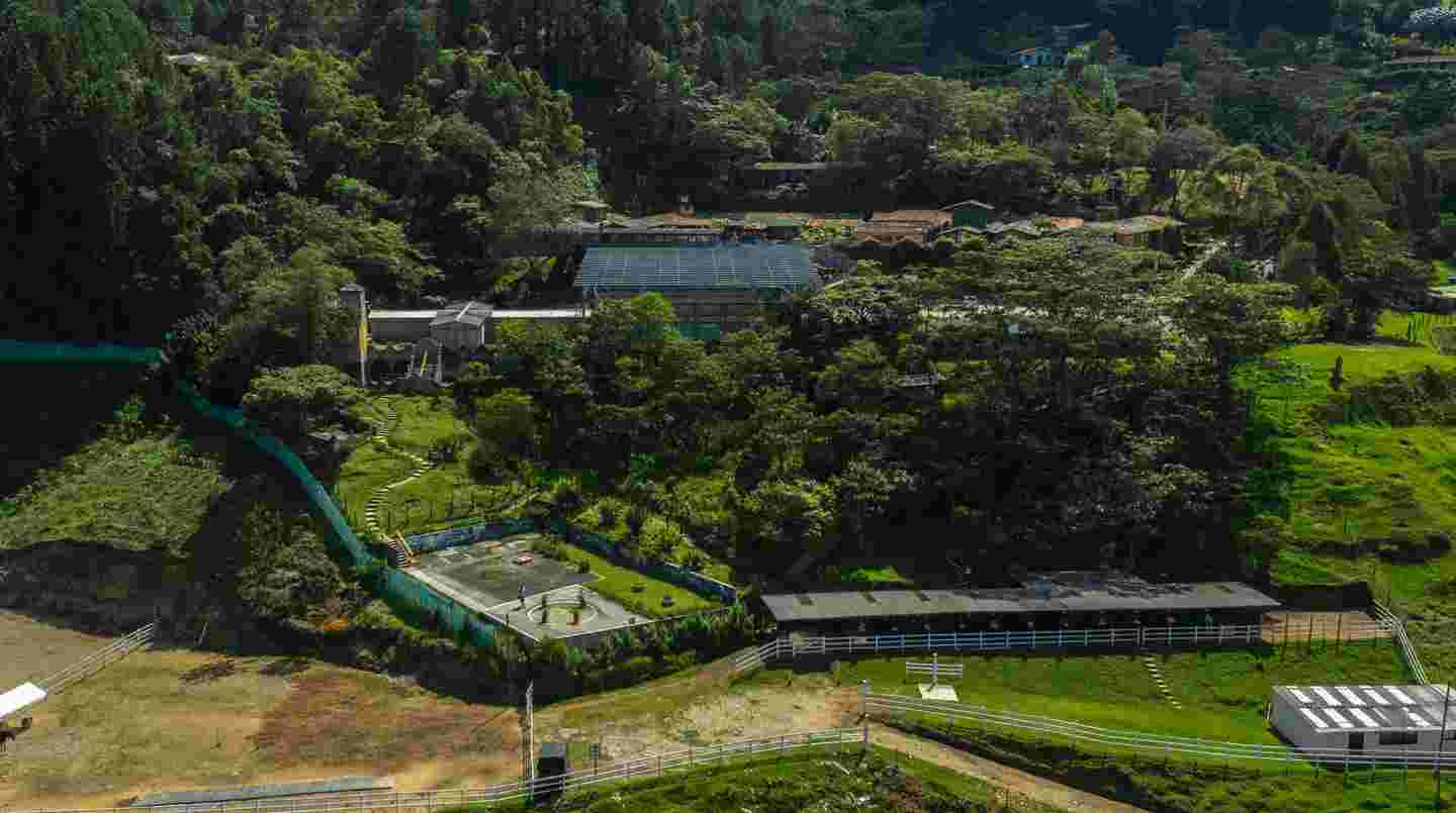 Pablo Escobar Escape Route Tour by Medellin City Services | Bookmundi