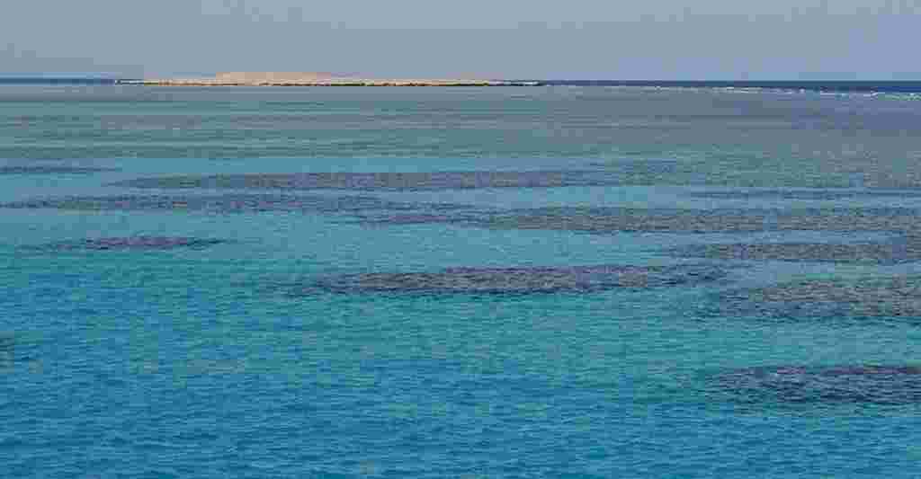 Red sea from Cairo in one day tour Tour with 1 Review by EMO Tours ...