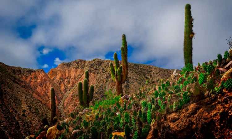 Sacred Peru Tour with 5 Reviews by Expat Explore | Bookmundi