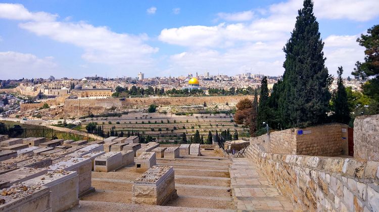 Discover the wonders of Israel and Jordan by Odynovo | Bookmundi