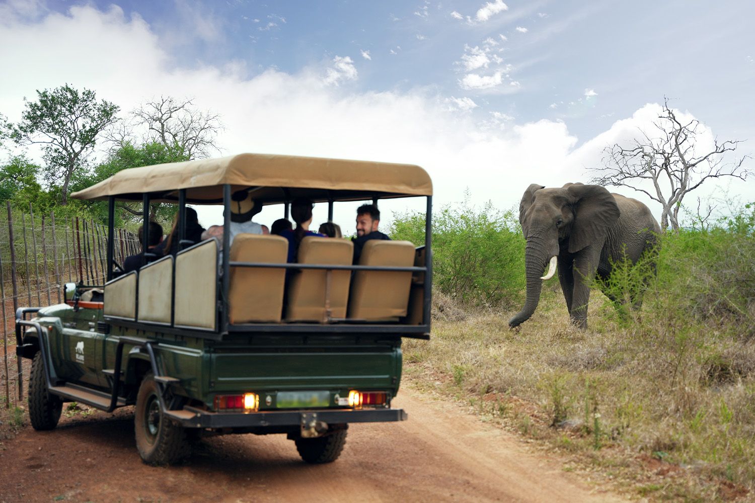 South Africa Adventure Tour with 30 Reviews by Intro Travel | Bookmundi