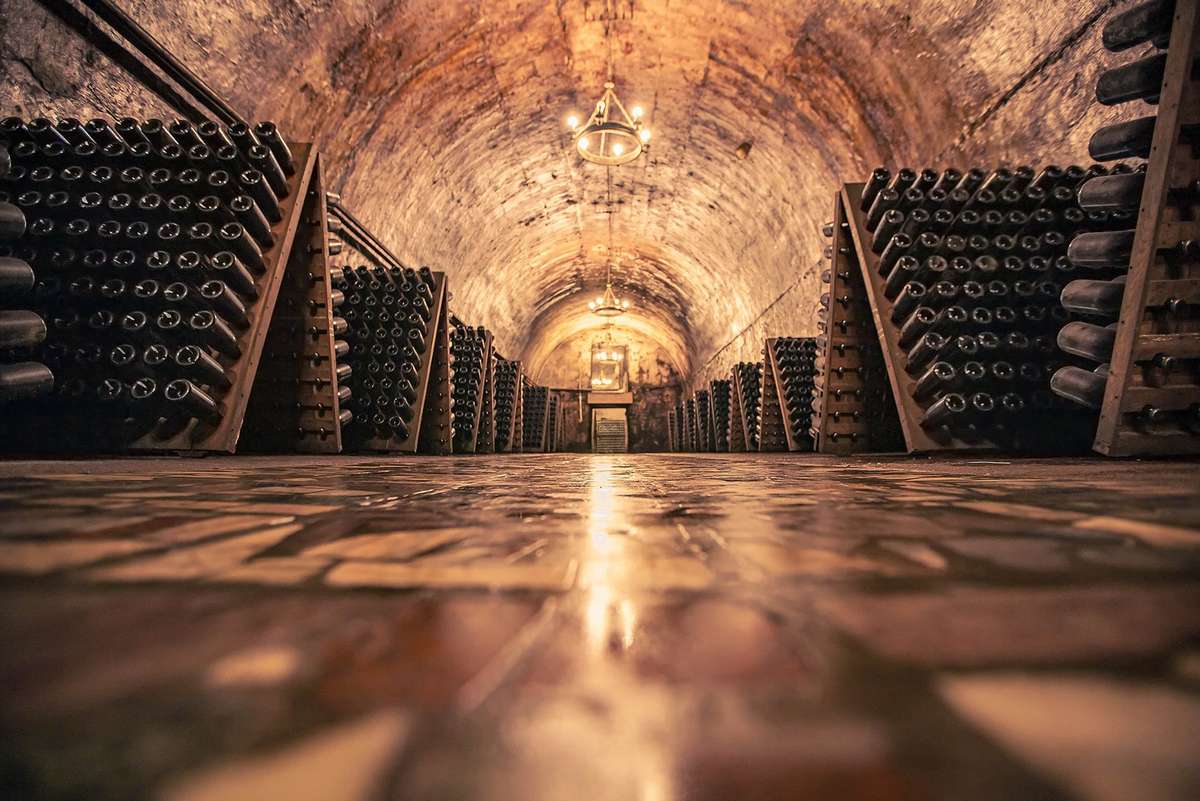 Walking The Vineyards of Champagne - Deluxe Tour by Exodus Adventure ...