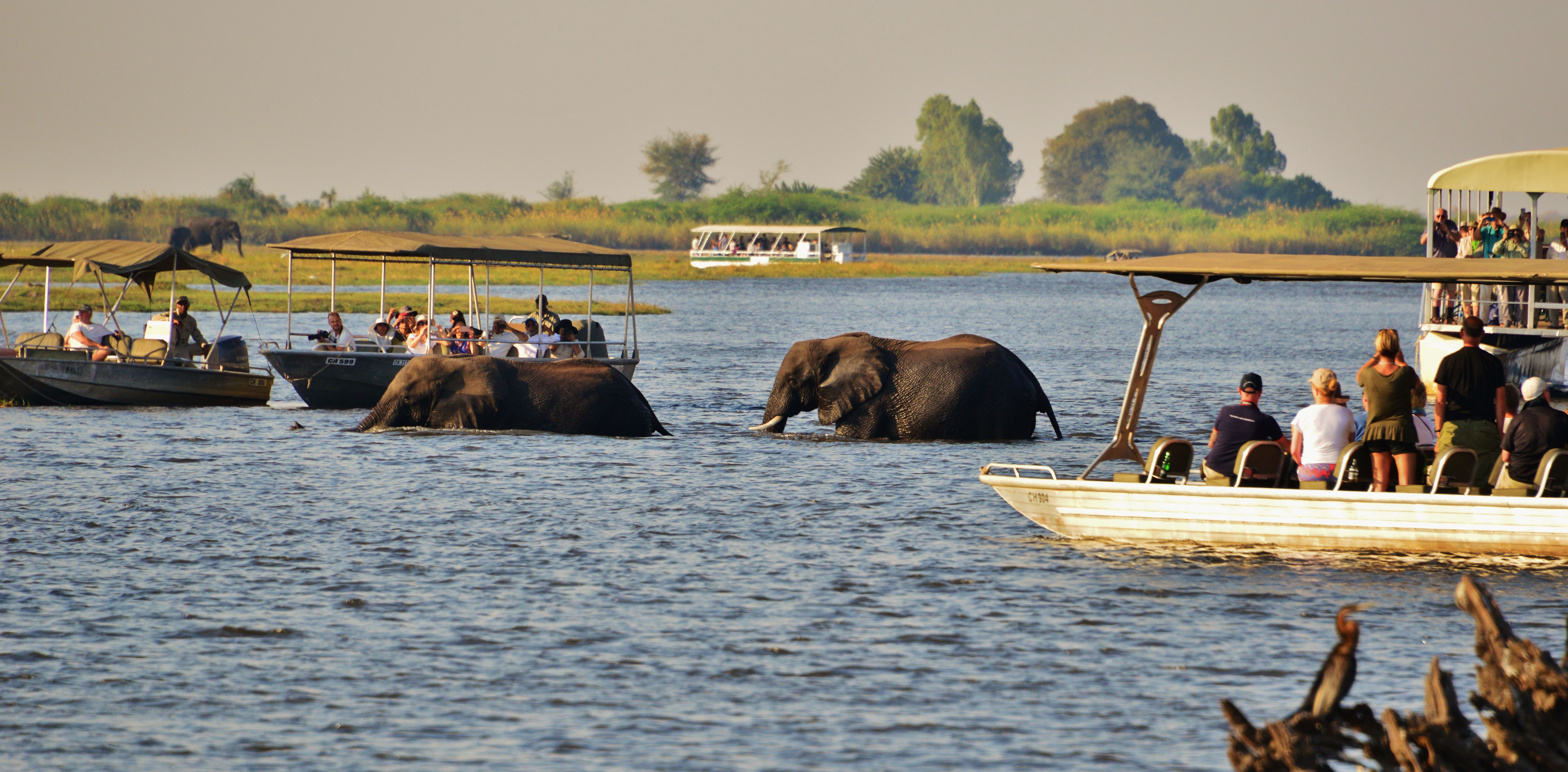 Wilderness of Southern Africa: Safari by Land & Water Tour by Collette ...
