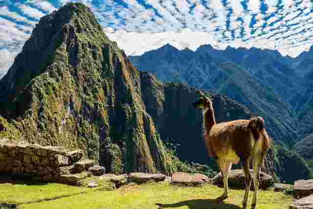 Wonderful Peruvian South, Private Tour by Destination Services | Bookmundi